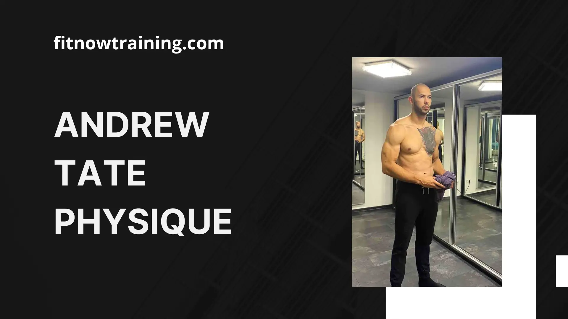 Andrew Tate Físico, Entrenamiento y Dieta - FitNowTraining
