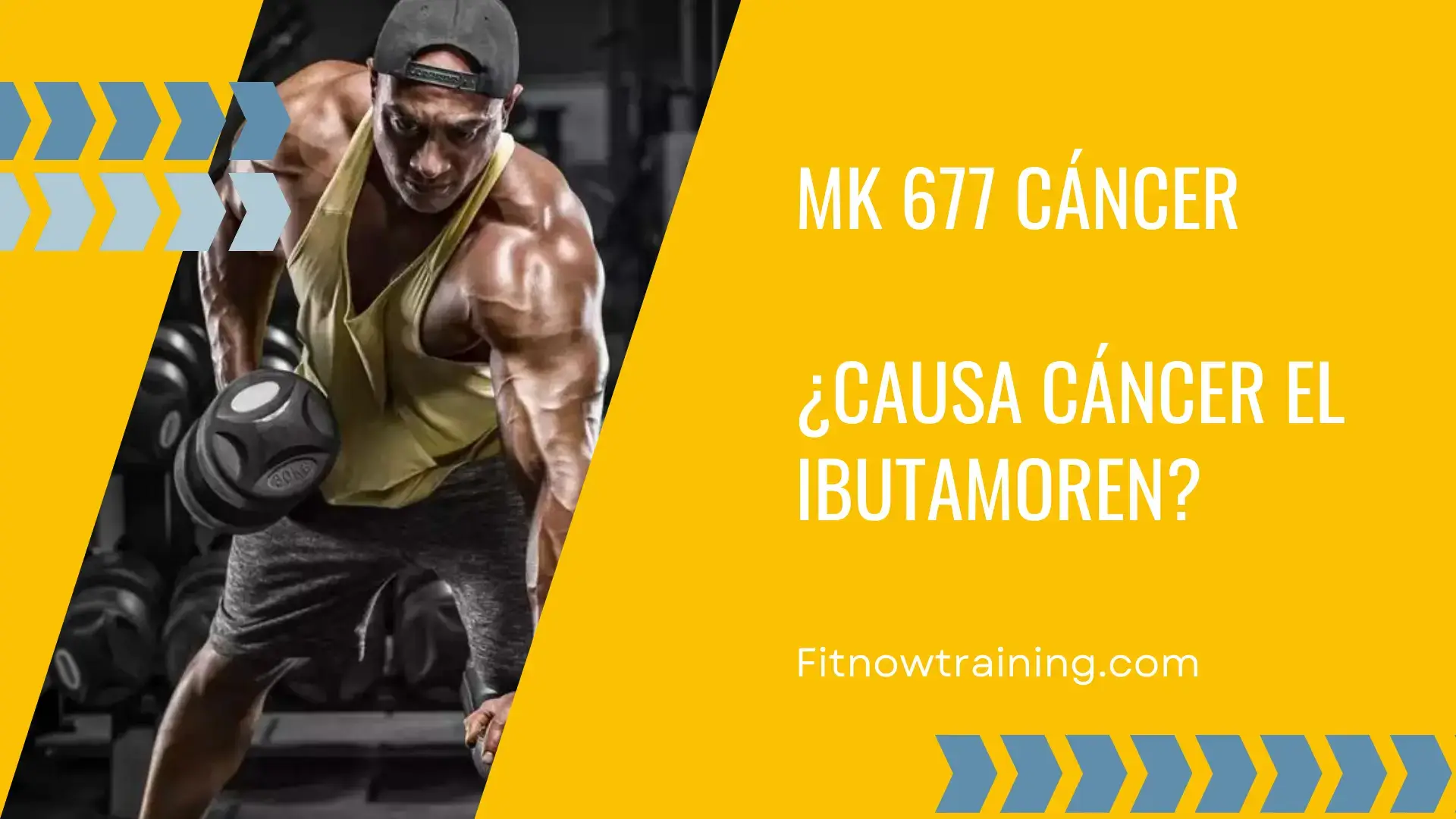 MK 677 Cáncer - ¿Causa cáncer el ibutamoren? - FitNowTraining